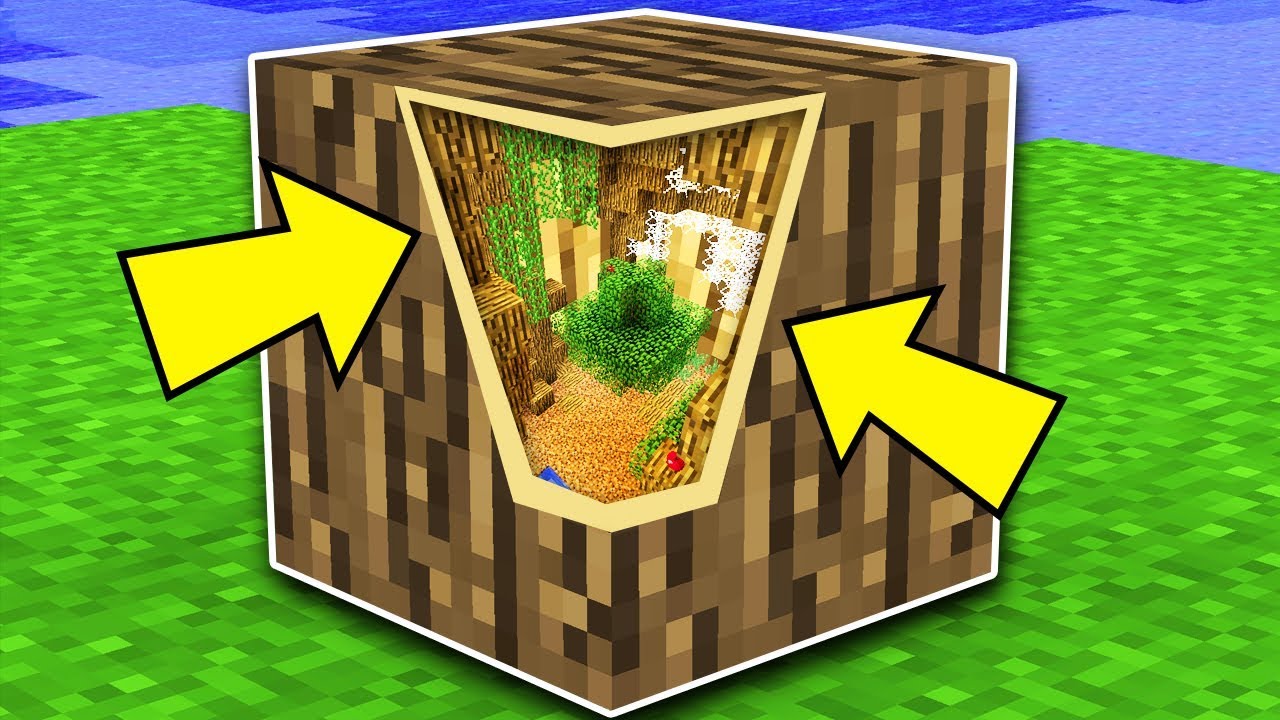 COME ENTRARE DENTRO AI BLOCCHI DI MINECRAFT!!! - YouTube
