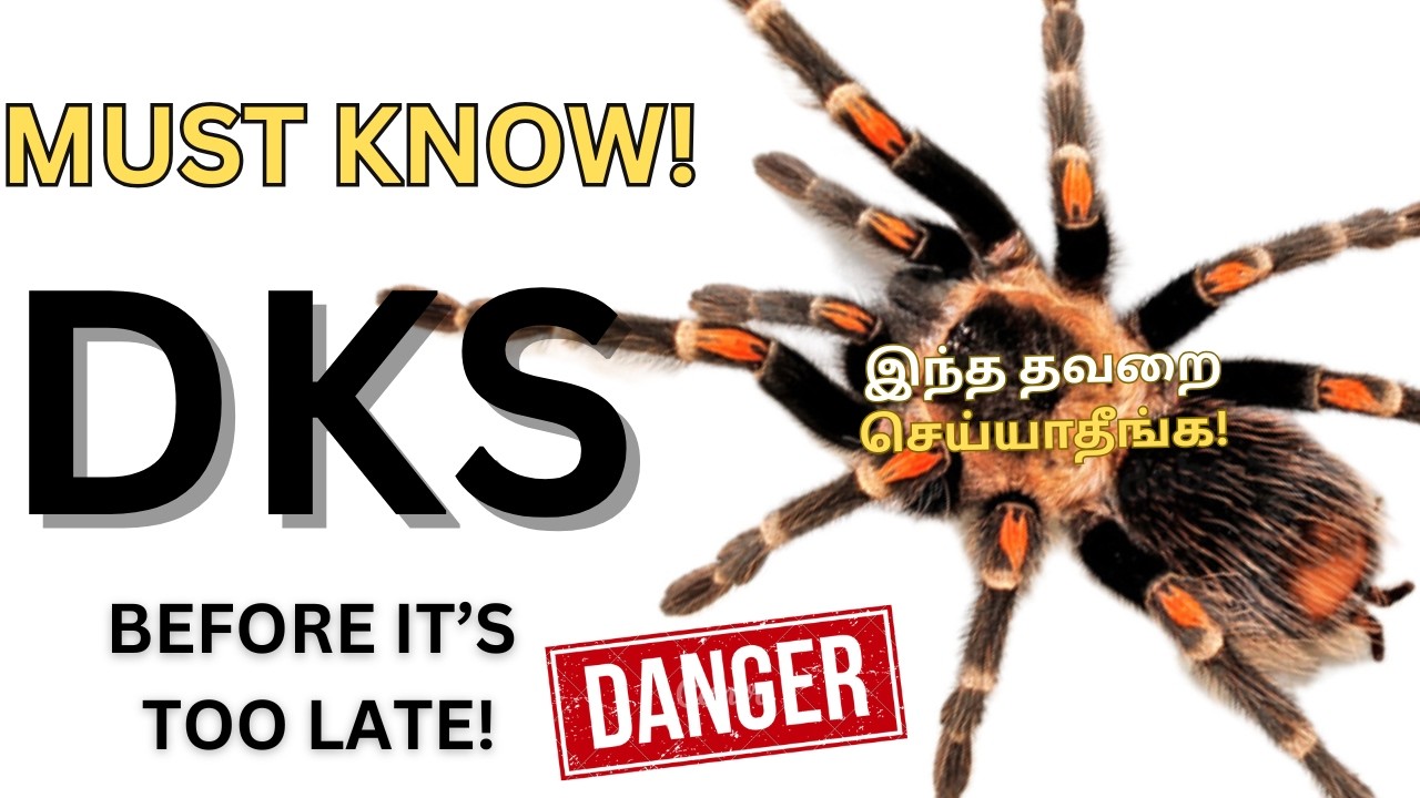 The Truth About DKS in Tarantulas | My Heartbreaking Experience | தமிழ் ...