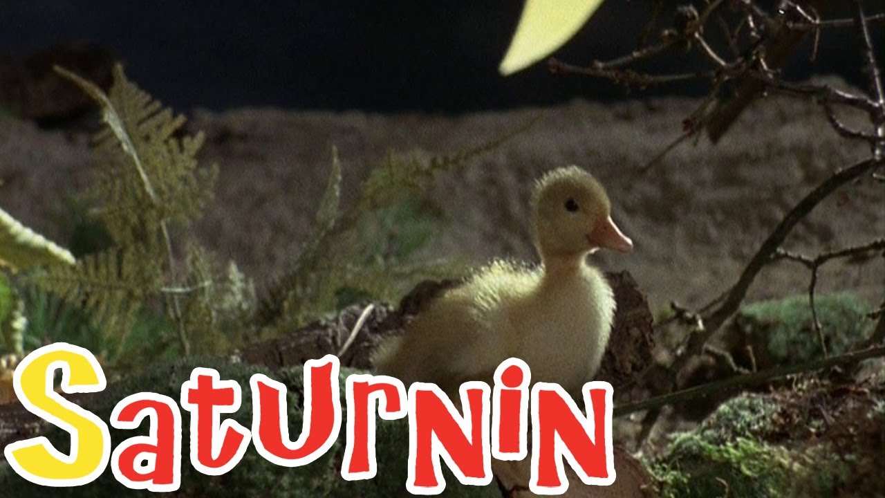 Saturnin - Saturnin et compagnie Volume 1 Episode 3 - YouTube