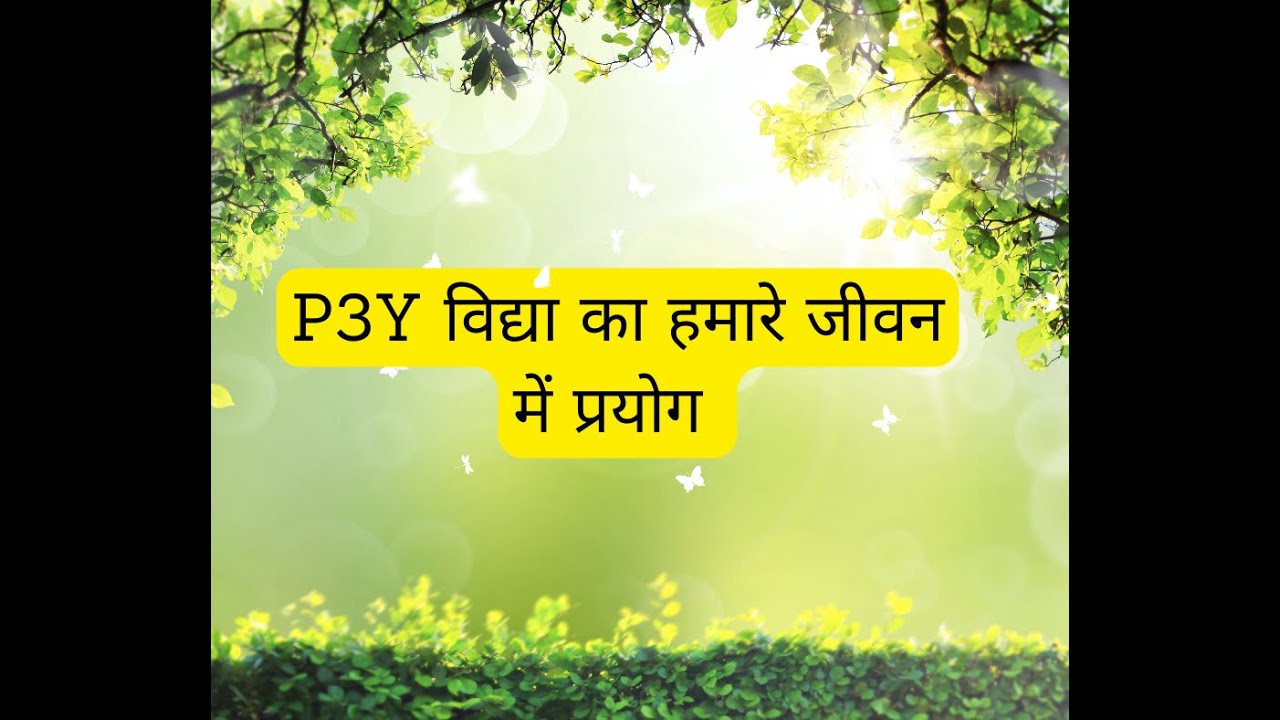 P3Y विद्या का हमारे जीवन में प्रयोग IUse of the P3Y method in our life ...