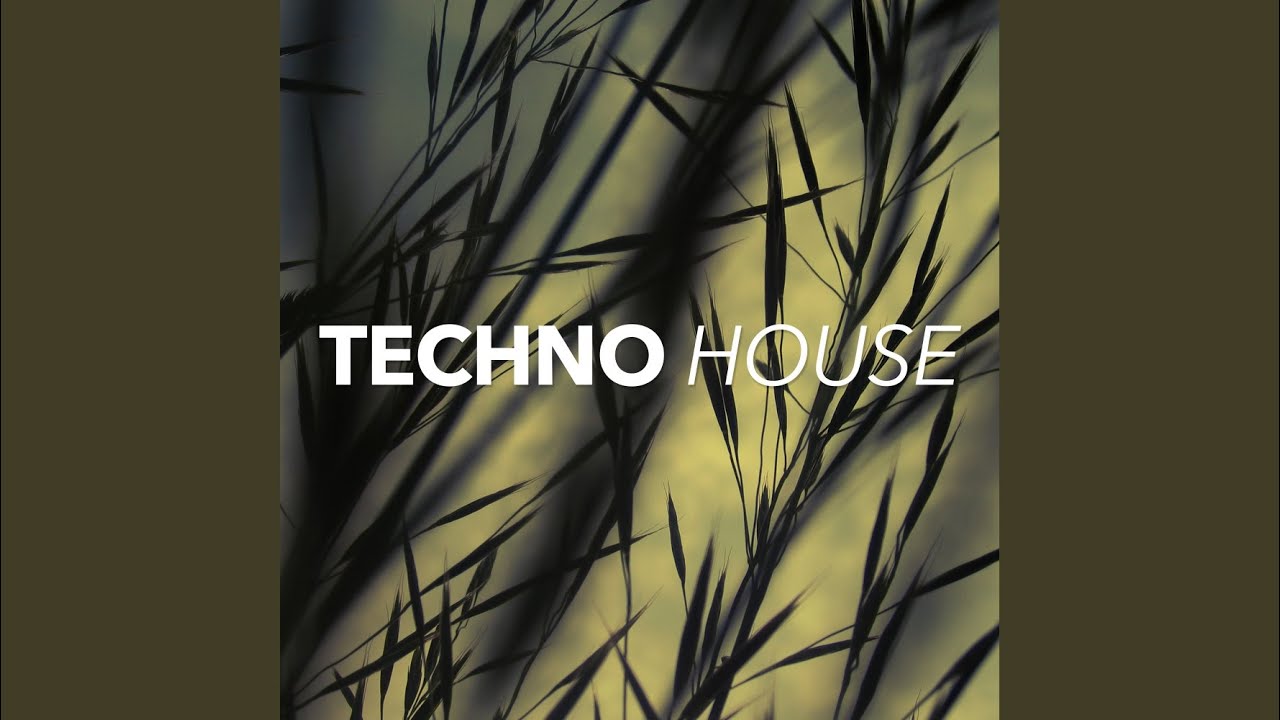 Angel Arp - YouTube Music