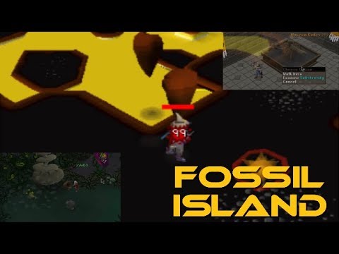 FOSSIL ISLAND MINING AND MORE - YouTube