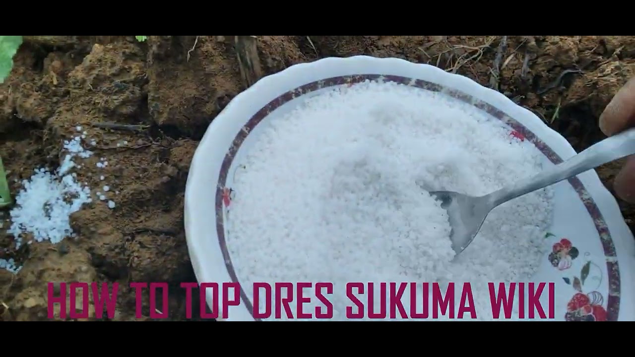 Make 9k every week by planting sukuma wiki(Top dressing) - YouTube