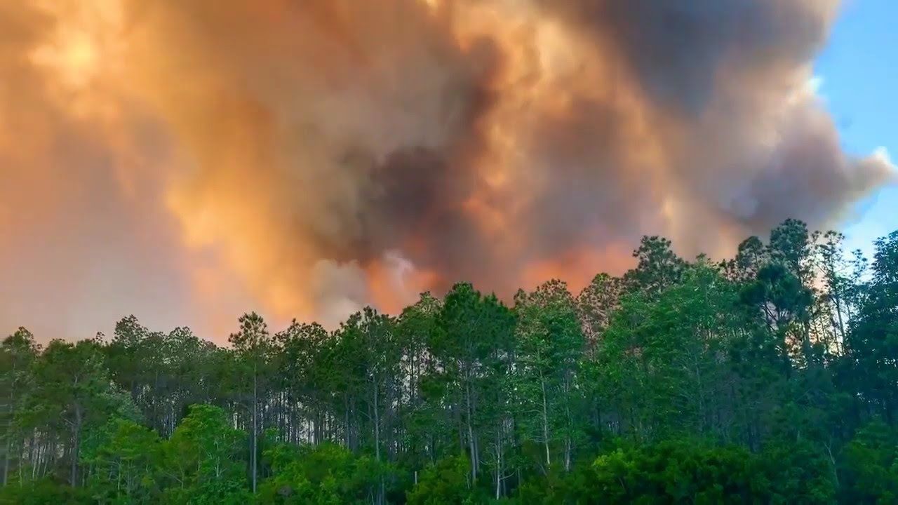 FIVE MILE SWAMP FIRE OVERTAKING I10!!! - YouTube