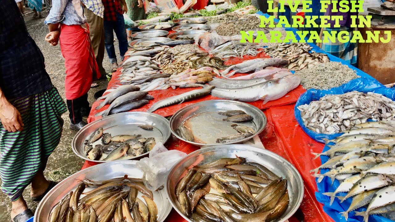 Live Fish Market in Narayanganj - YouTube