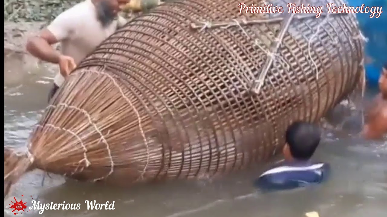 Primitive Fishing Technology: Believe This Fishing? Amazing Fish ...