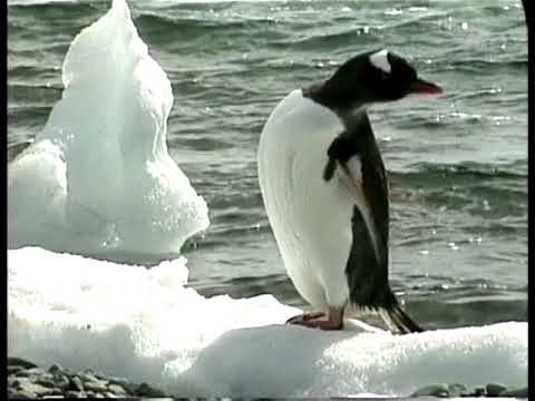 Keşifler Atlası - Atlas Kuzey Kutbunda