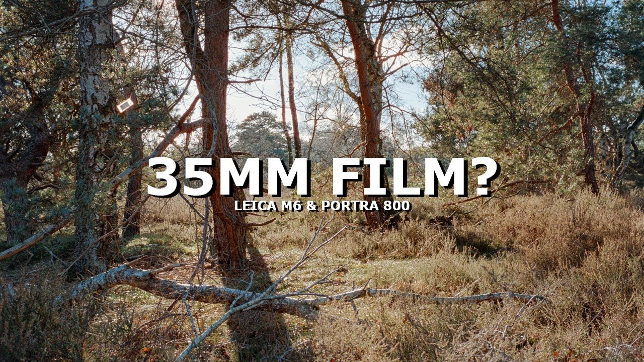 Landscape Photography on 35MM FILM? // LEICA M6 and PORTRA 800 - YouTube