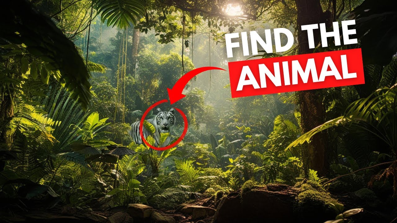 Can you find all the hidden animals in 10 seconds? Find the Animal Game ...