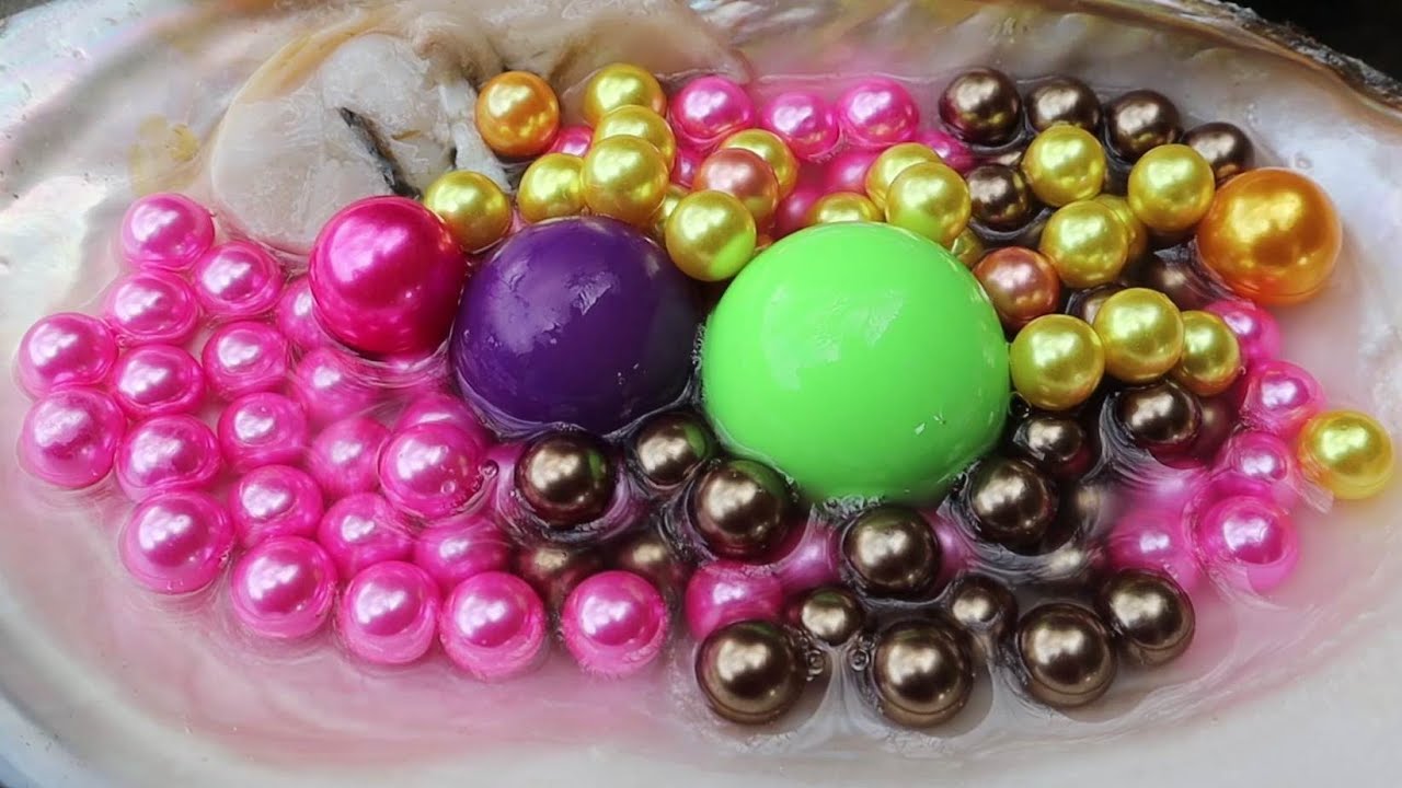 What kind of magical pearl clam is this? It has such huge pearls. - YouTube