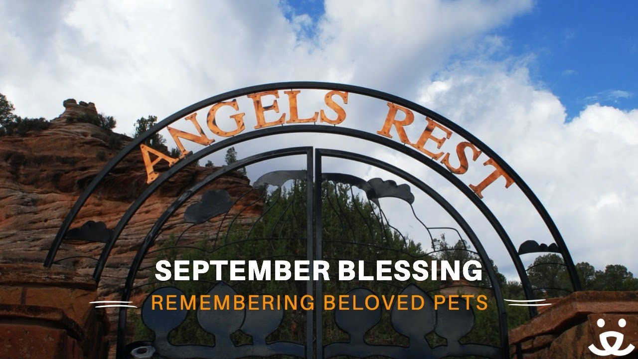 September Blessing from Angels Rest | Best Friends Animal Sanctuary ...