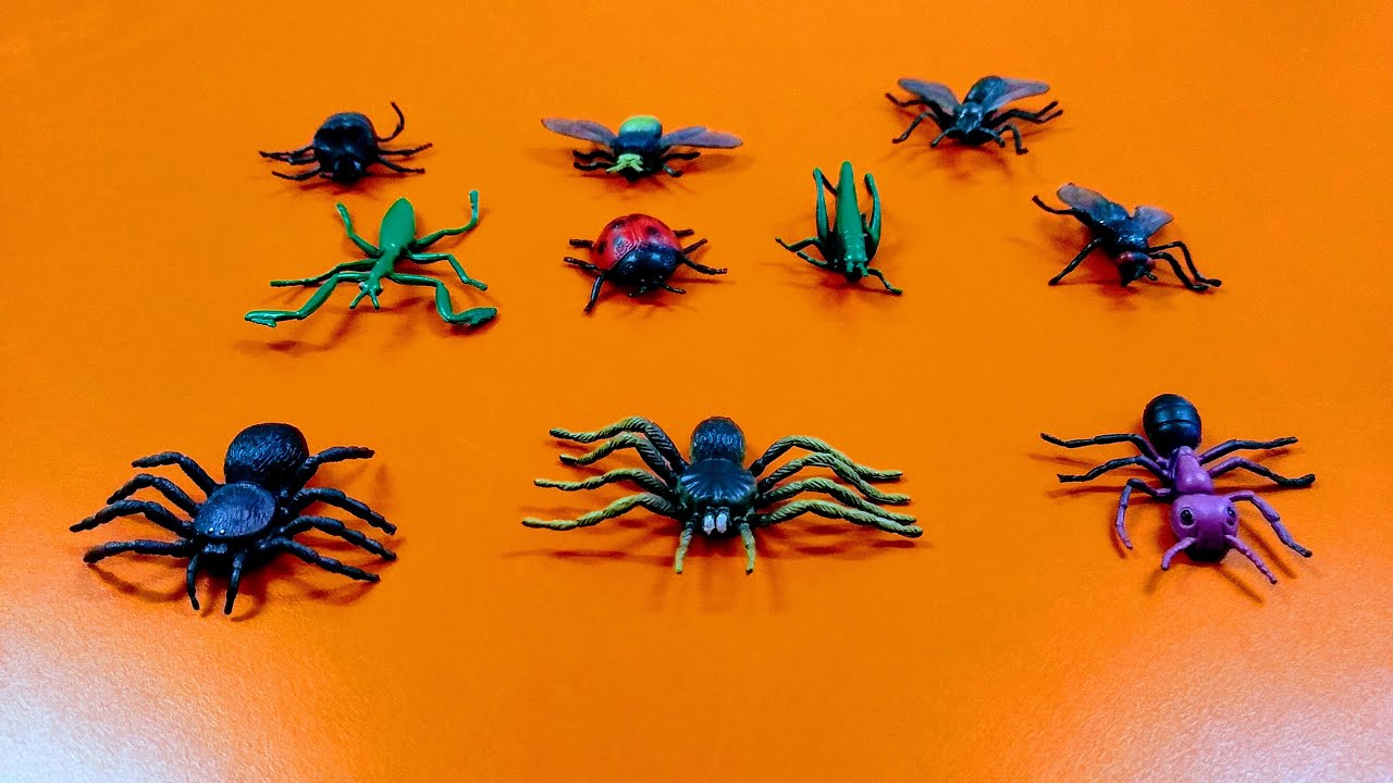 INSECTOS para niños de preescolar 🐝🐞 en VYGLAMS - YouTube