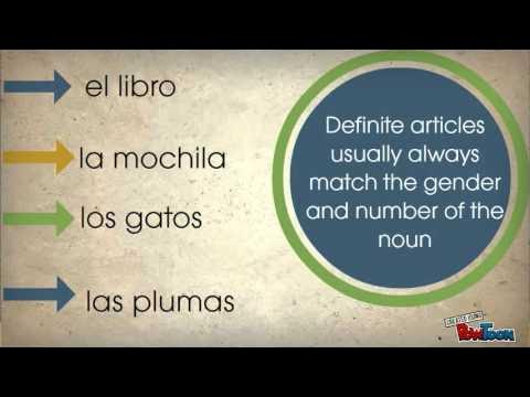 Spanish 1 - Gender of Nouns and definite articles - YouTube