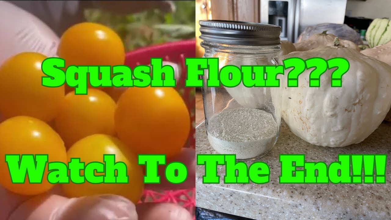 Harvesting With My Hubby & Making Squash Flour - YouTube