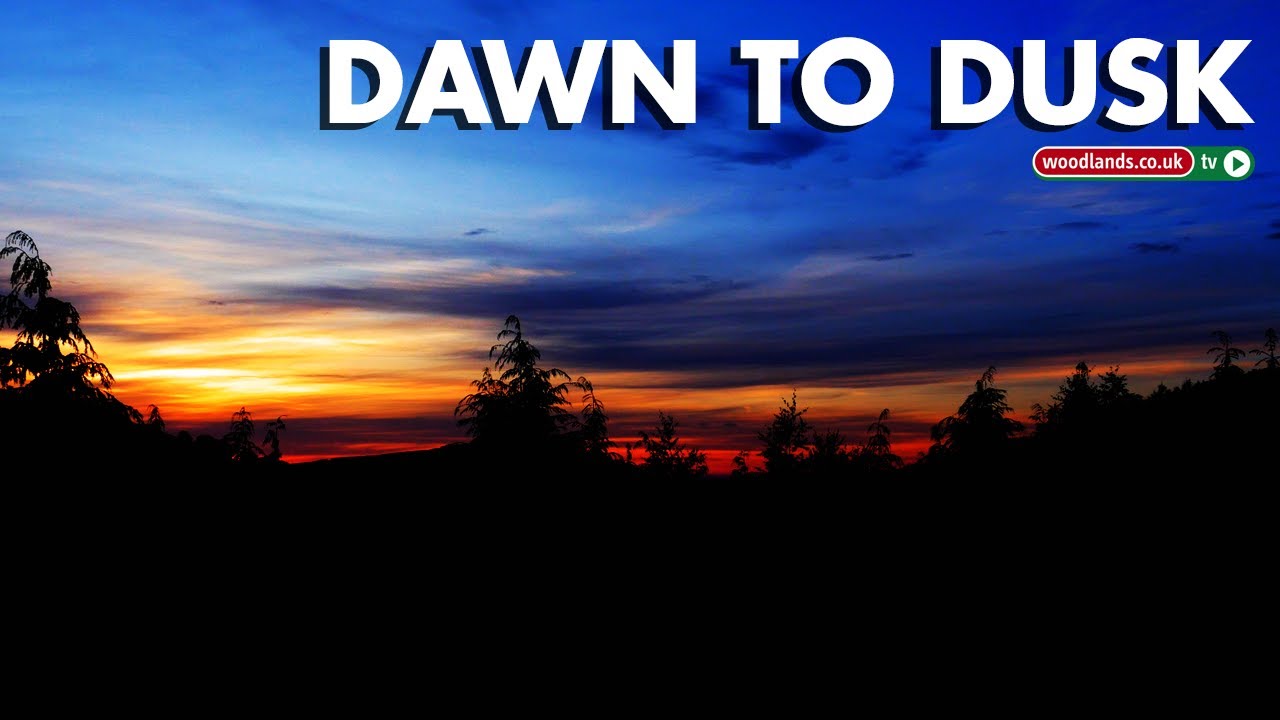 Dawn to Dusk in the Devon Woods - YouTube