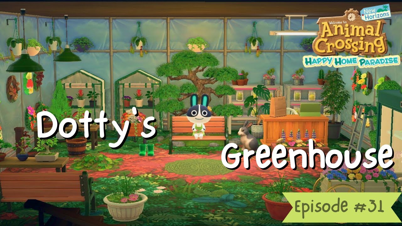 Dotty's Greenhouse | Happy Home Paradise Ep #31 | Animal Crossing New ...