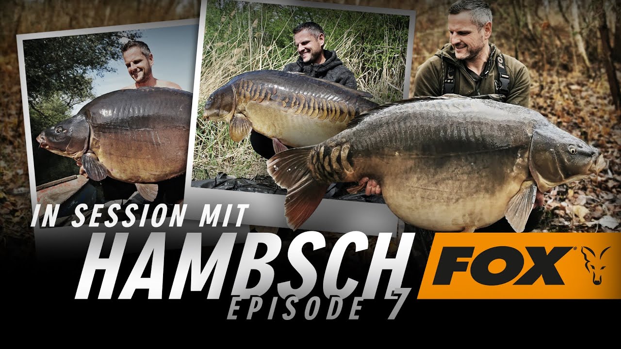 In Session mit Hambsch #7 - Big Fisch Talk (Karpfenangeln) - YouTube