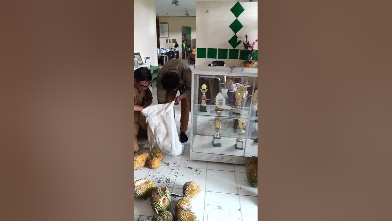 1 Makan Buah Durian di SMP 6 PPU (8/1/2024). Buah durian lokal cukup lezat. - YouTube