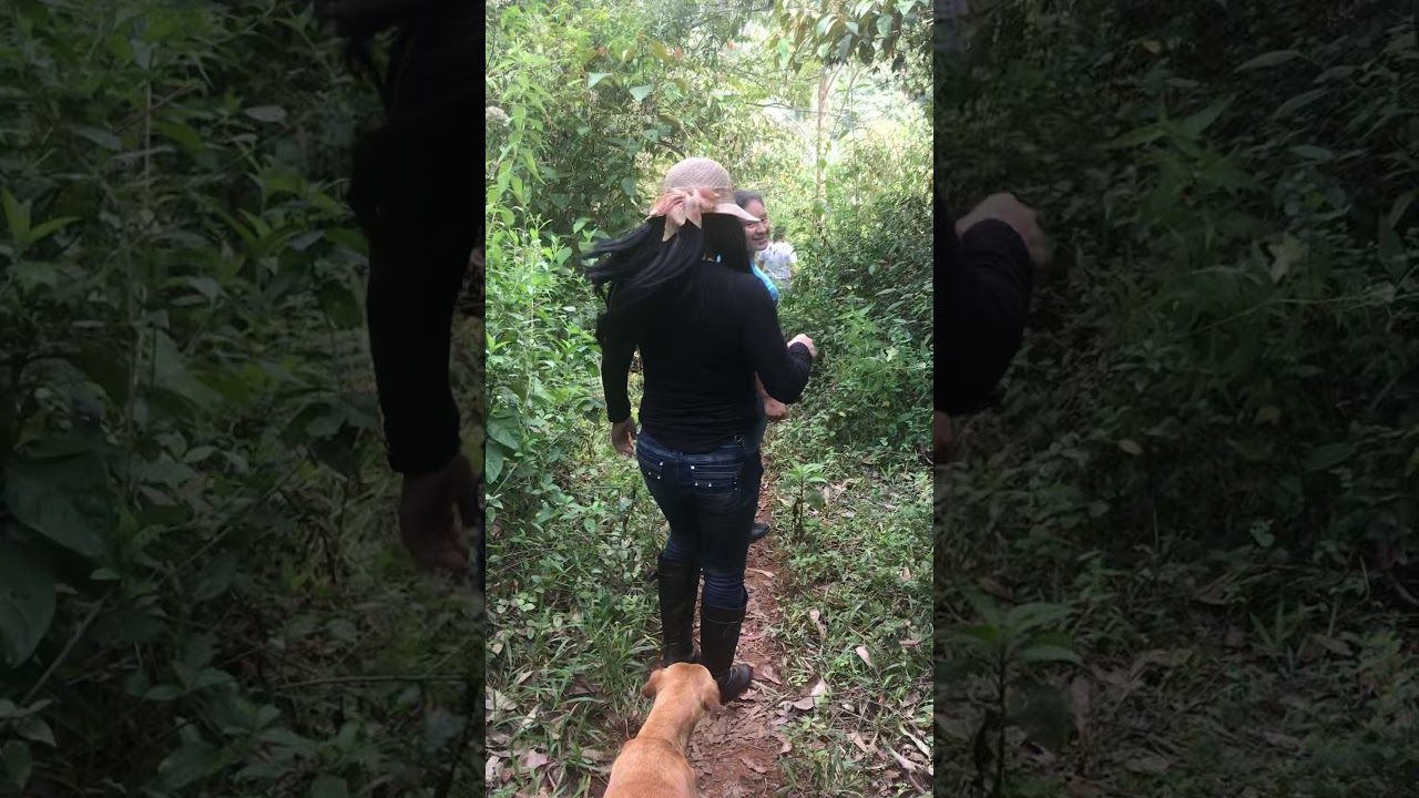 Caminando ando en FELIDIA cali valle del Cauca colombia 🇨🇴 - YouTube
