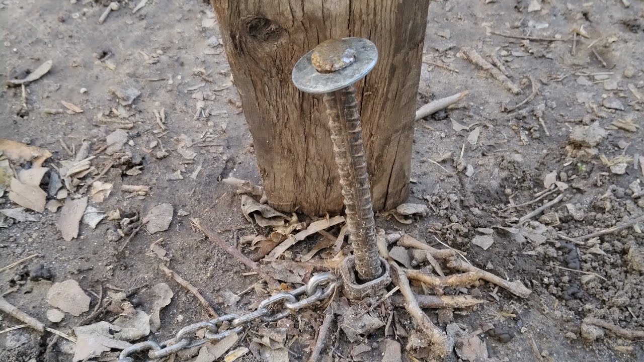 how to make trapping stakes "EASY" - YouTube