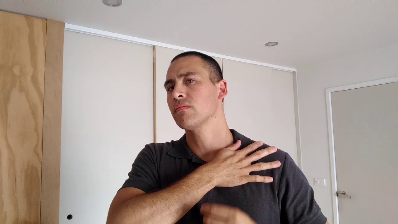 Sternocleidomastoid - Action, Stretching, Strengthening & Self Massage ...