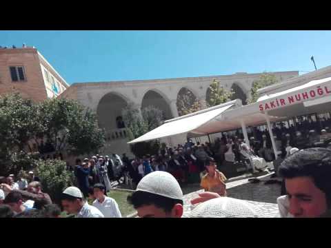 Haznevi süper ilahi mardin