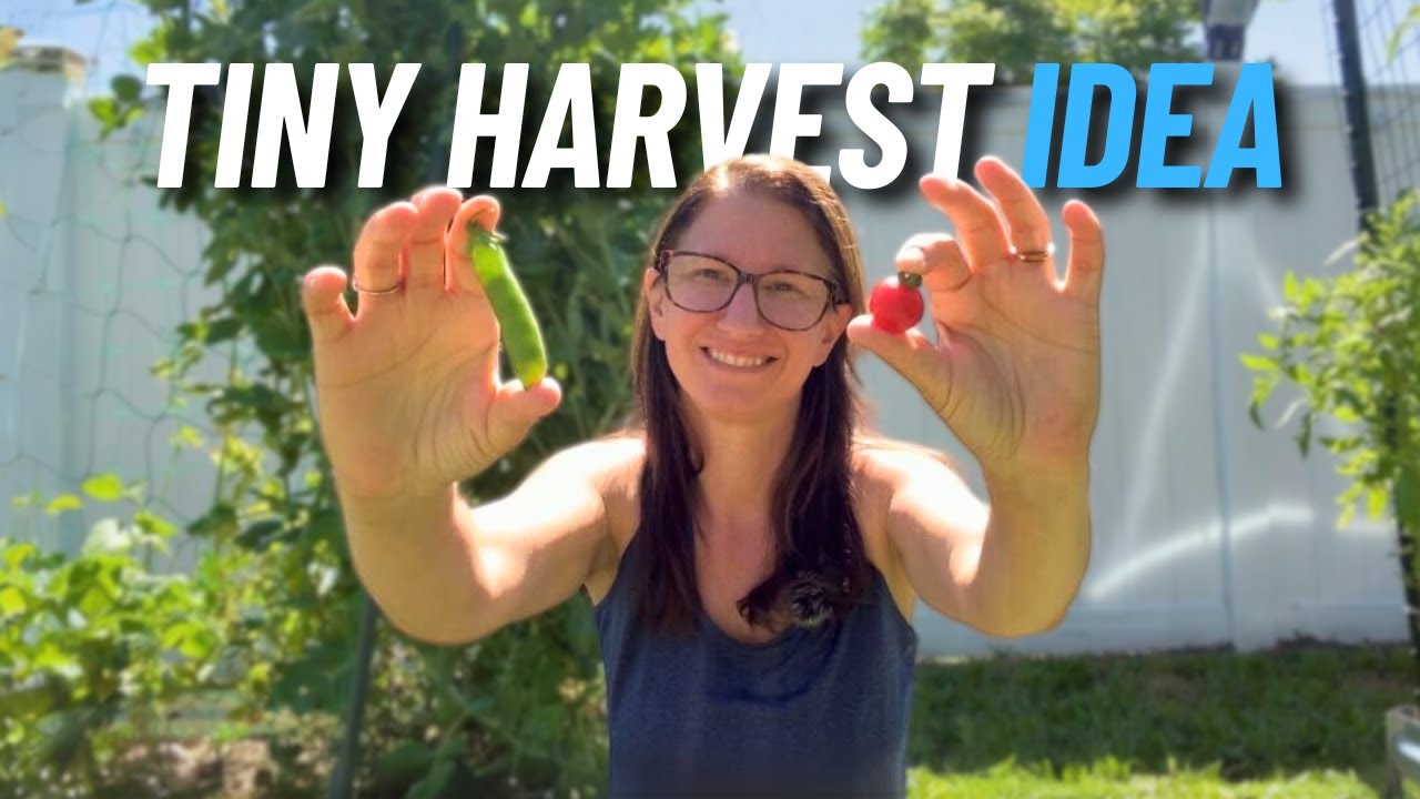 How To Use A Small Harvest? Garden Vegetable Quiche Recipe - YouTube