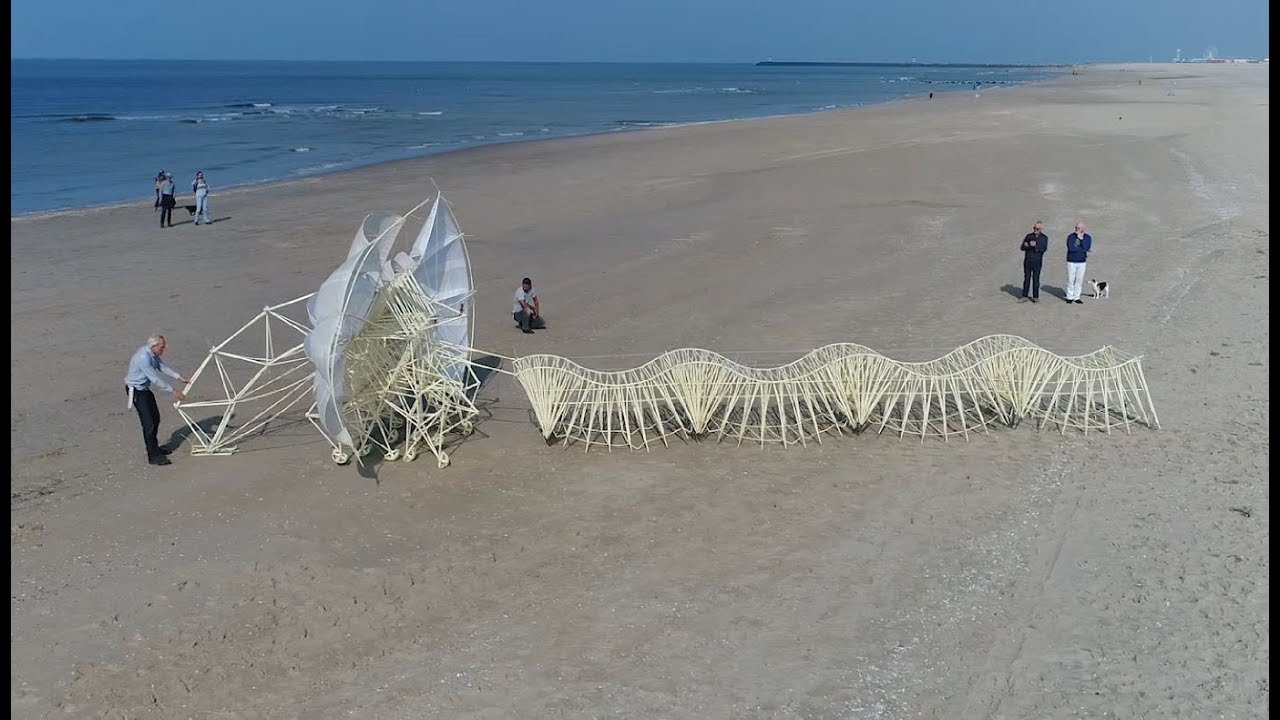 You won't believe your eyes: Beach Animals by Dutch engineer Theo ...