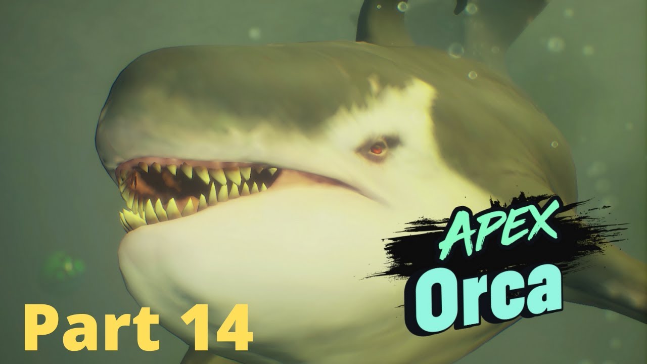 Maneater Gameplay Walkthrough Part 14: Apex Orca! - YouTube