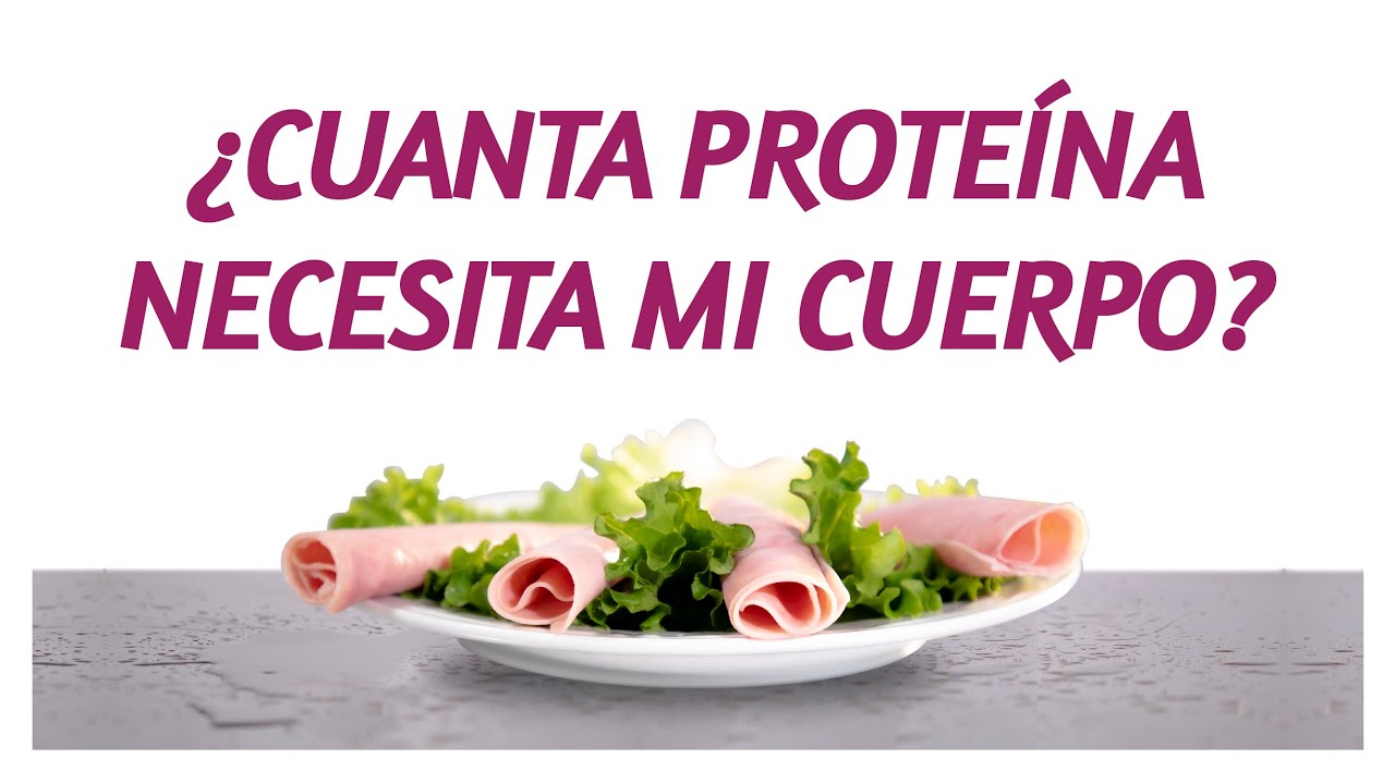 ¿Cuánta proteína necesita mi cuerpo? EFA Alimentos te lo dice - YouTube
