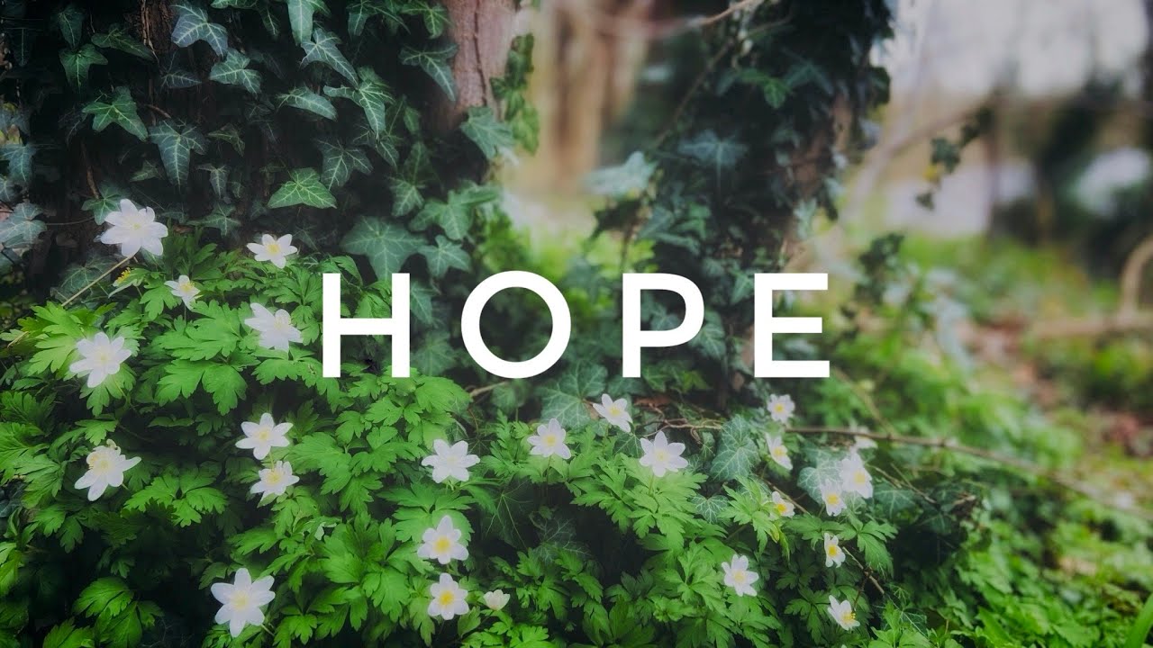 Relaxing, Spontaneous, Instrumental: Piano Music for Meditation, Sleep ...