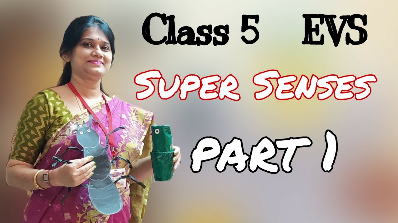 Class 5 EVS Chapter 1 : Super Senses | PART 1 (Using TLM) - YouTube