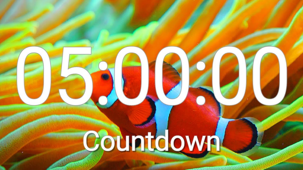 5 Hours Timer with Alarm - YouTube Music