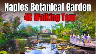 Hidden Tropical Paradise! 🌺 Naples Botanical Garden 4K Walk