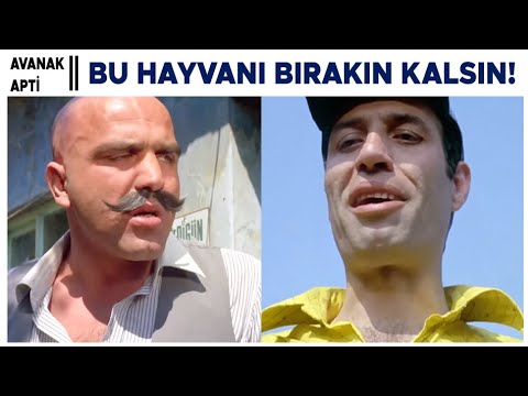 Avanak Apti Türk Filmi | Avanak Apti, Urfalı Apti ile takışıyor!