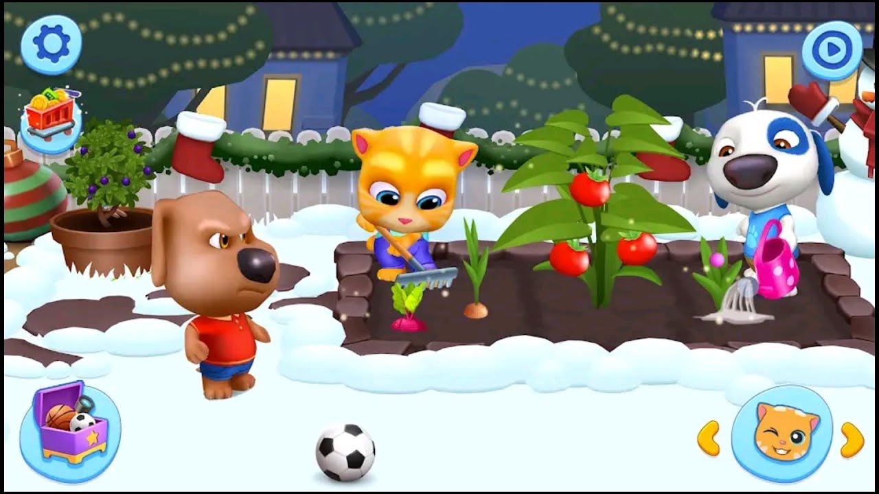 BERMAIN DENGAN KUCING TOM,ANGELA,HANK,GINGER,BECCA,BEN DI MUSIM DINGIN ...