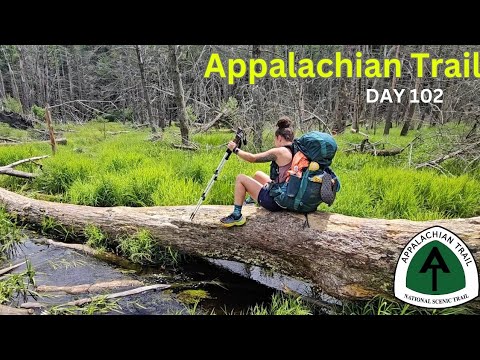 Can We Beat the Beaver Log Jam?! | Appalachian Trail Thru Hike 2024 Day ...