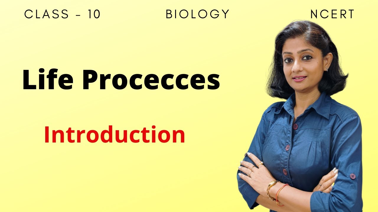 Life Processes - Introduction | Class - 10 Biology | CBSE | NCERT - YouTube