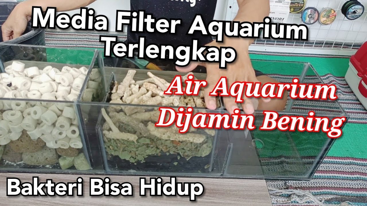 Media Filter Aquarium Terlengkap (Dijamin Air Bening) - YouTube