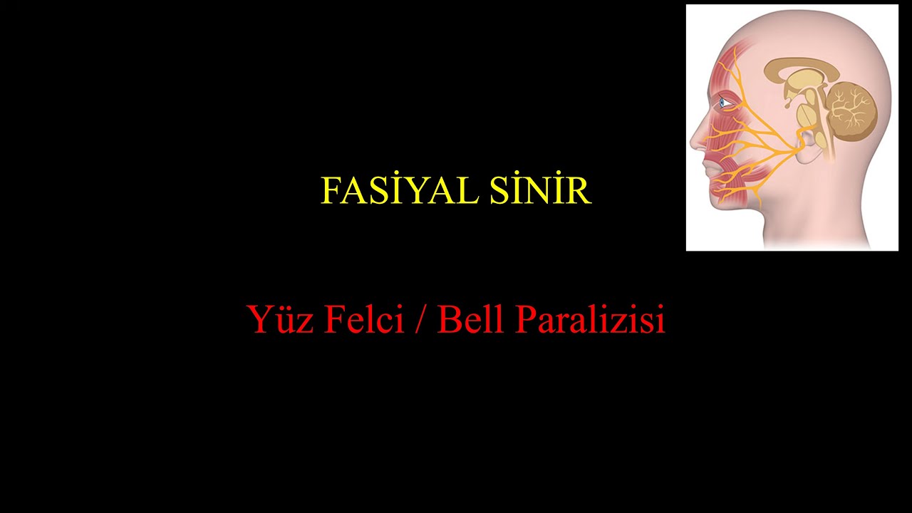 Yüz Felci (Fasiyal Paralizi) - YouTube