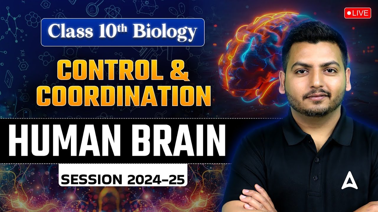 Human Brain - Control and Coordination | Class 10 Biology Chapter 2 By ...