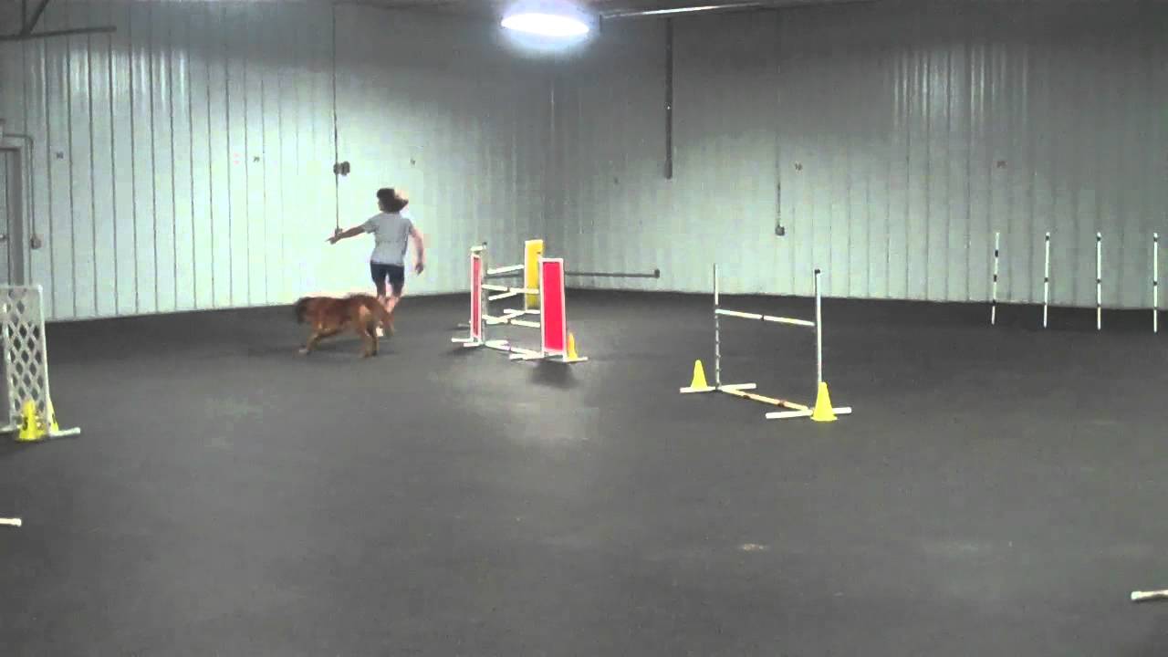 Rufus EXC A JWW1-Camp Bandy 7/3/11 (brain fart) - YouTube