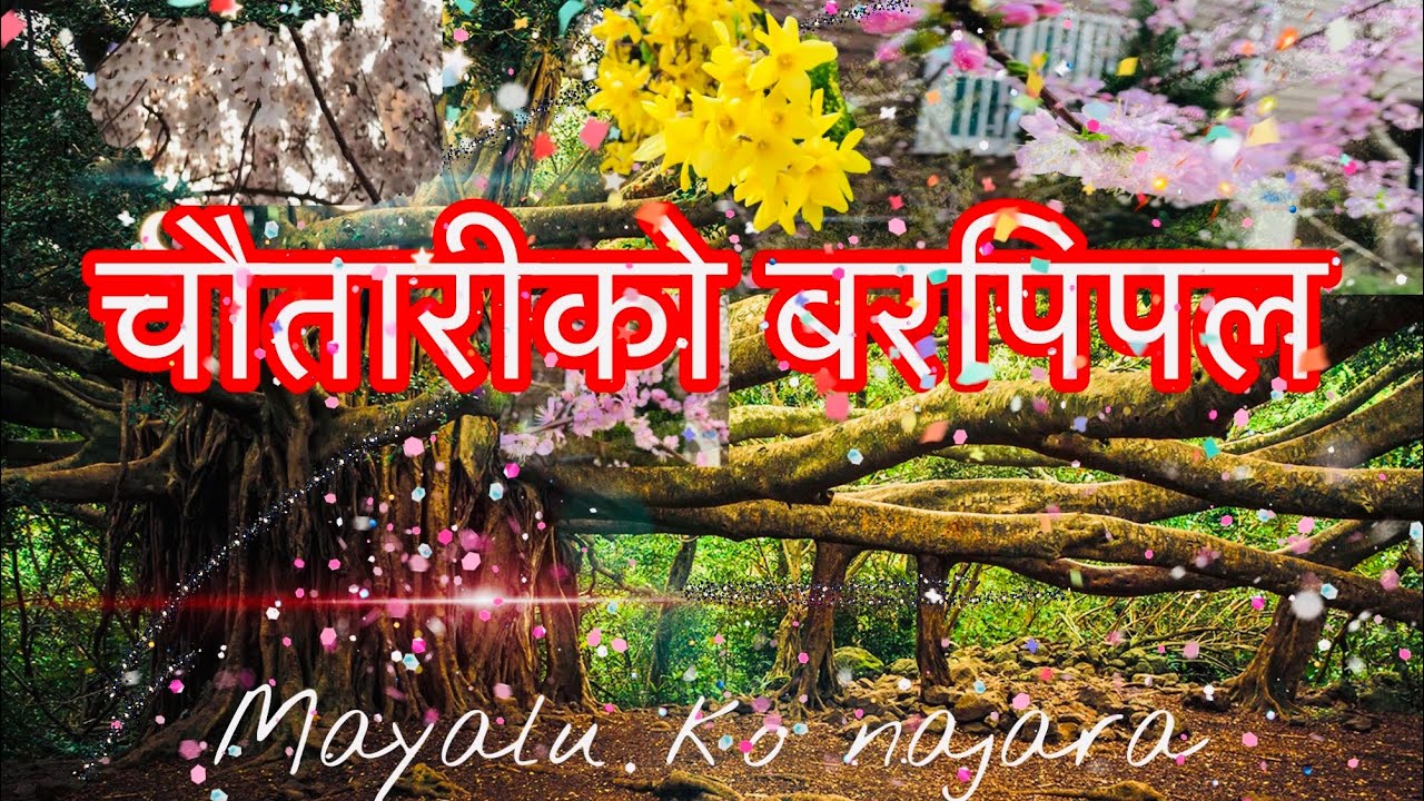 Chautariko bar pipal mayalu ko Nazara Nepali song चौतारी को बर पिपल ...