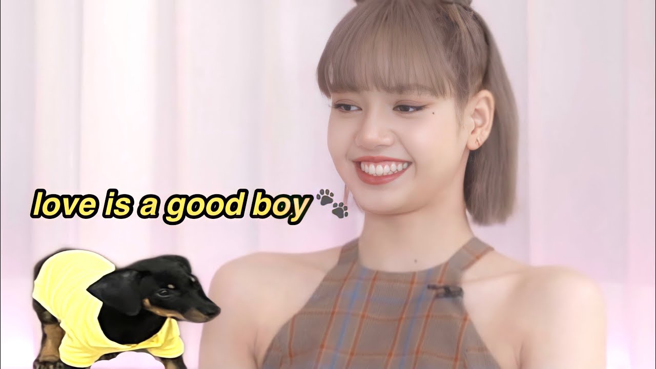 lisa introducing her new dog, LOVE 🐾 ️ - YouTube