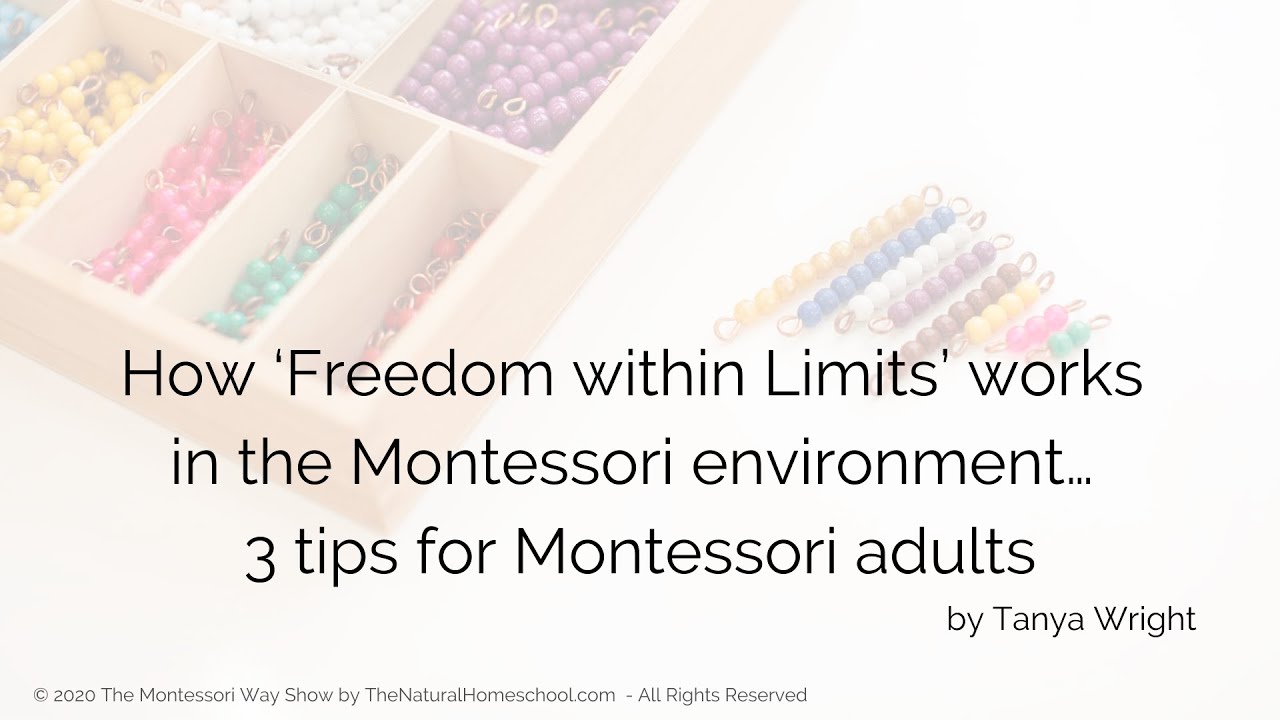 Episode 3 How 'Freedom Within Limits' works in The Montessori ...