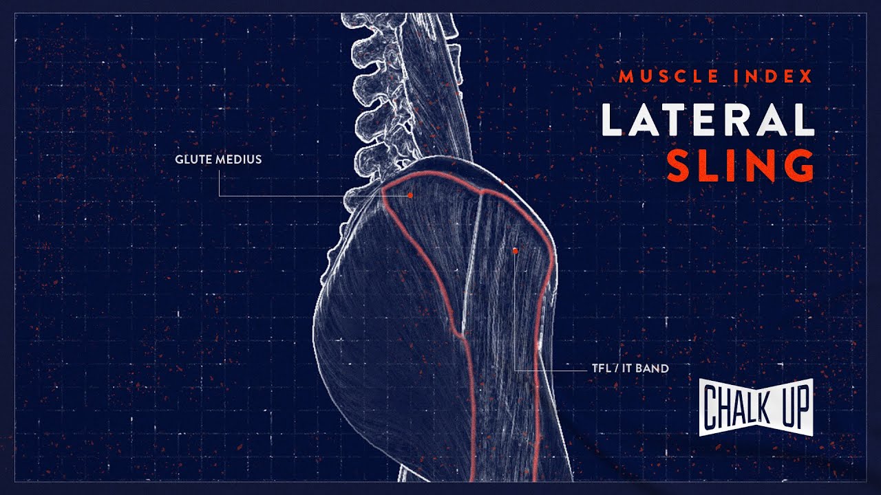 Muscle Index - Lateral Sling - YouTube