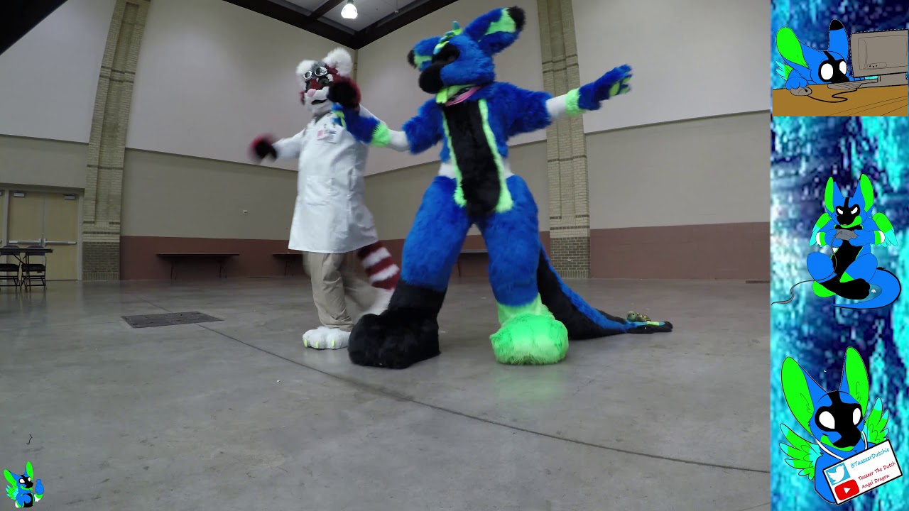 Con Nooga 2019 Furry Dance to Shake It Off Taylor Swift - YouTube