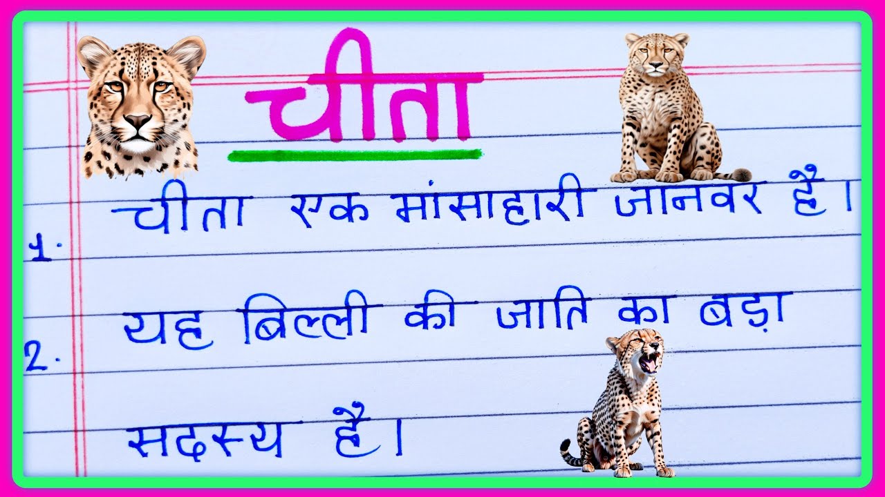 चीता पर 5 लाइन/Cheetah Par Nibandh /Essay on Cheetah in Hindi - YouTube