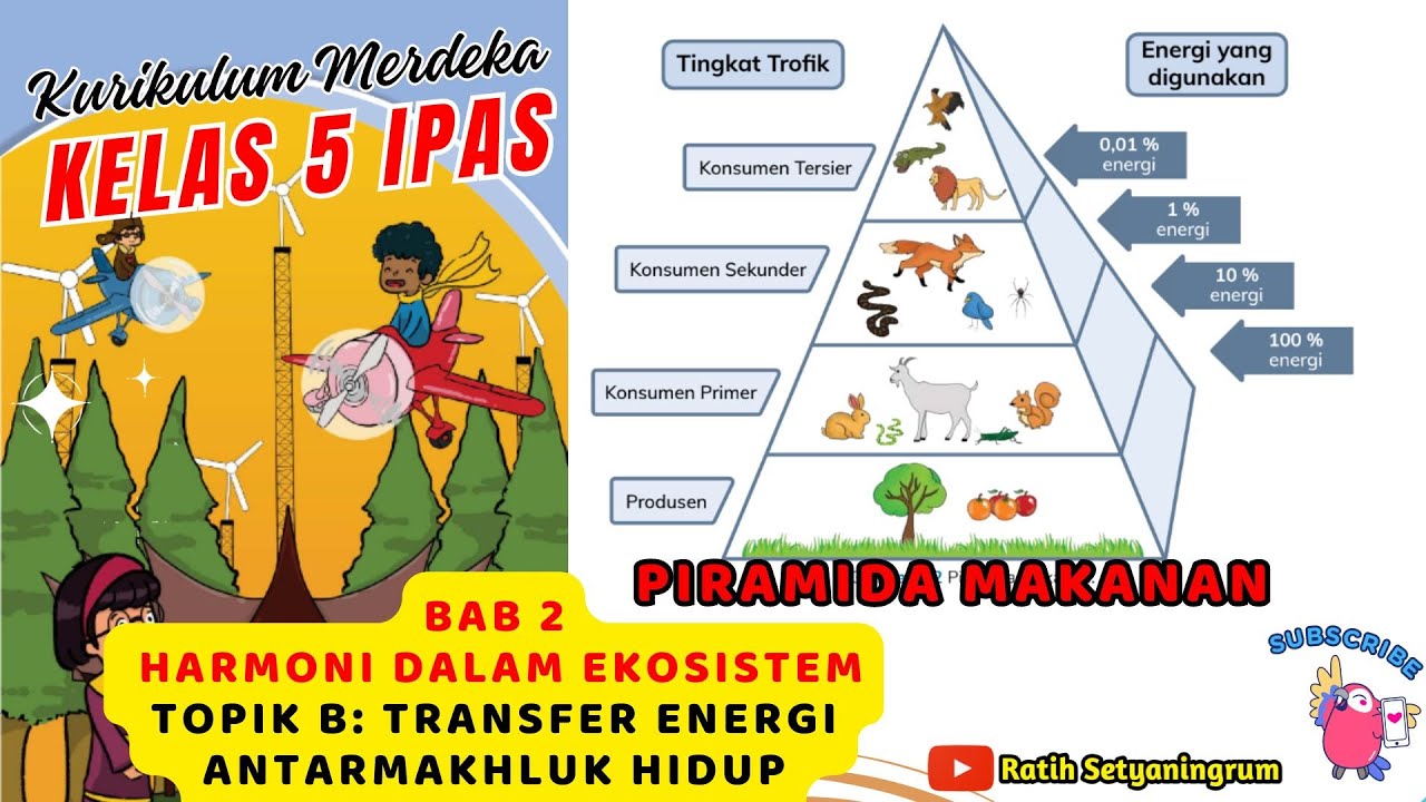 Kelas 5 IPAS Bab 2 Topik B Transfer Energi, Piramida Makanan ...
