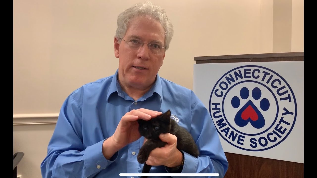 Thank you from Executive Director Gordon Willard - YouTube